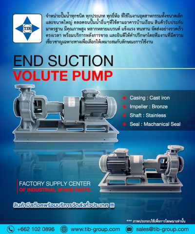 END SUCTION VOLUTE PUMP - ST RESOURCES THAILAND