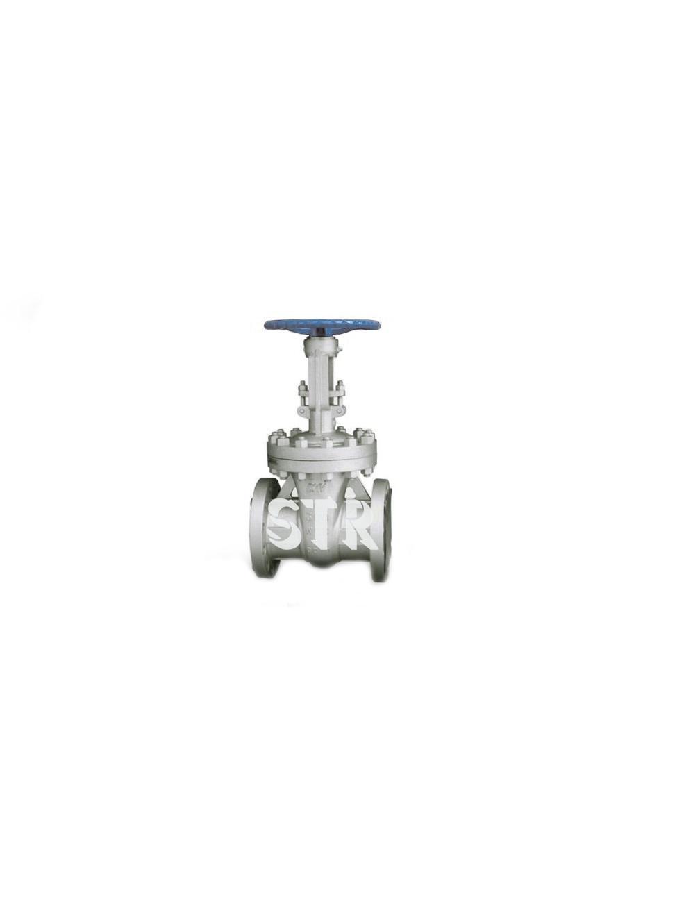 GATE VALVE - ST RESOURCES THAILAND